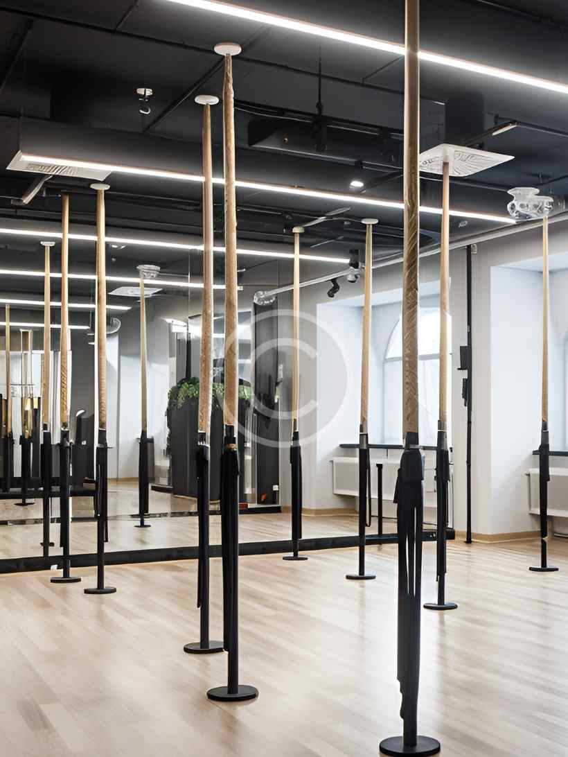 Home Pole Dance – Dream of Dance